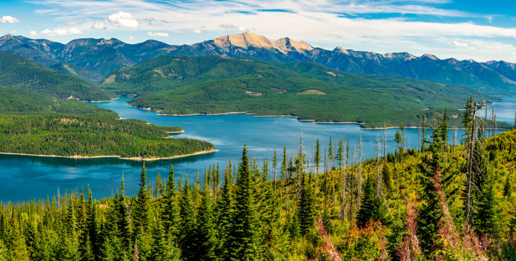 Hunting in Utah: Expert Advice from a Local - iSportsman USA