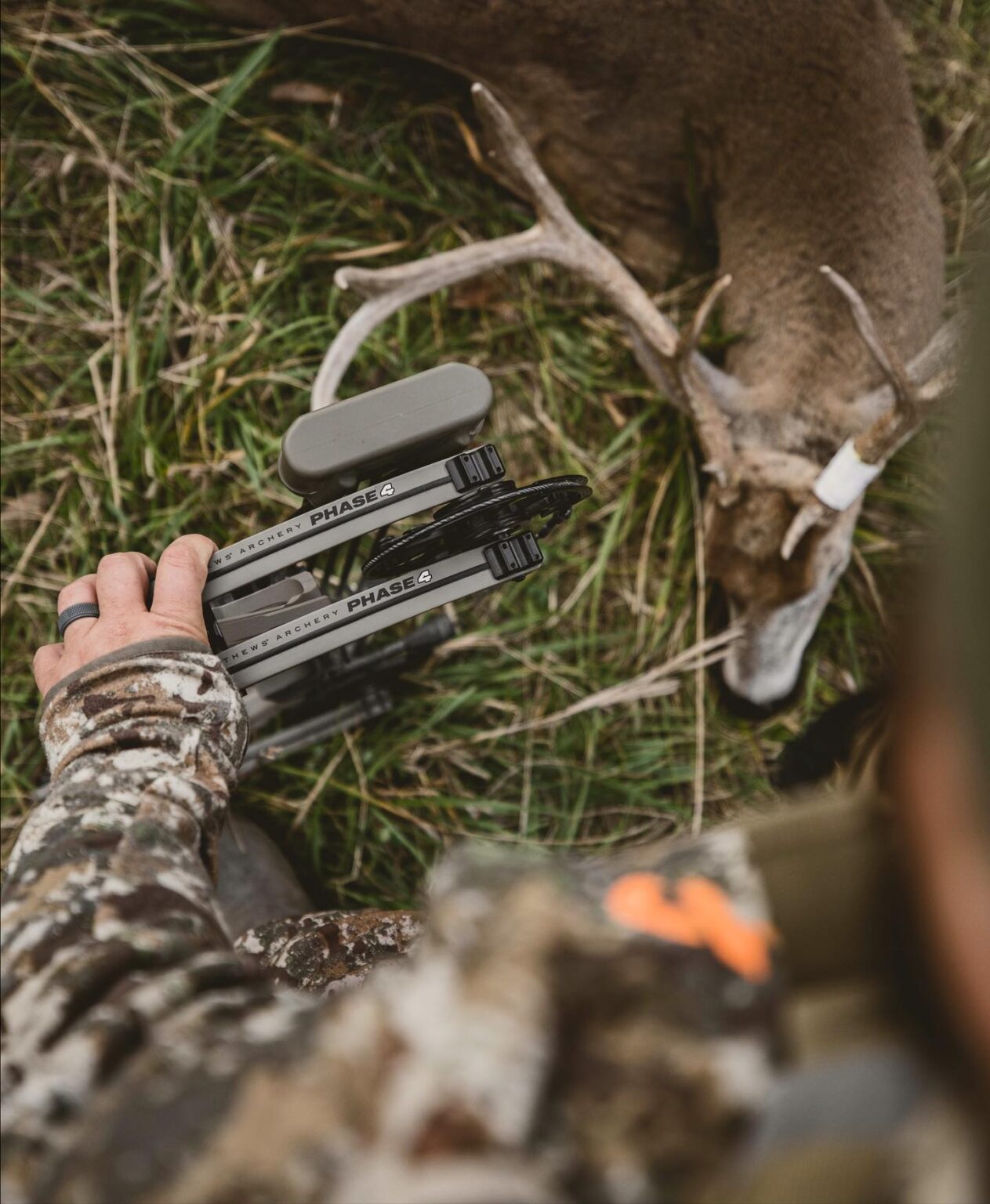 The Best Matthews Bows for Late-Season and Beyond