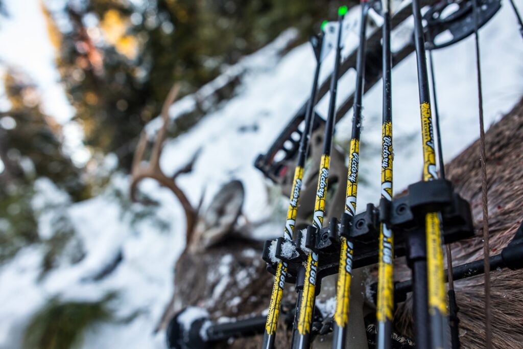 Victory Arrows: A Guide to High-Performance Hunting Arrows