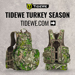 Alaska Moose Hunting 101 - iSportsman USA