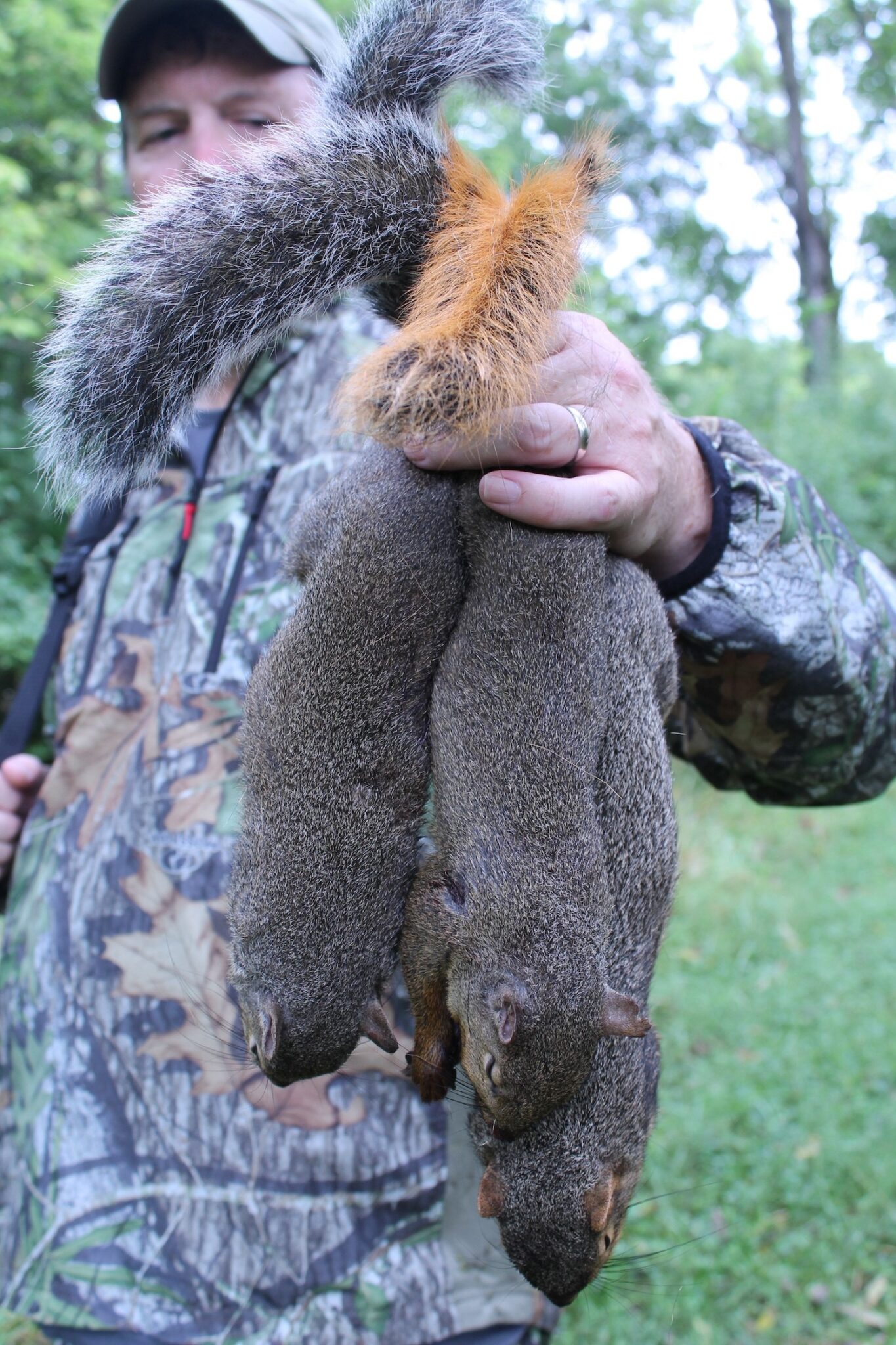 Fall Squirrel Hunting: Simple Tactics for a Successful Hunt