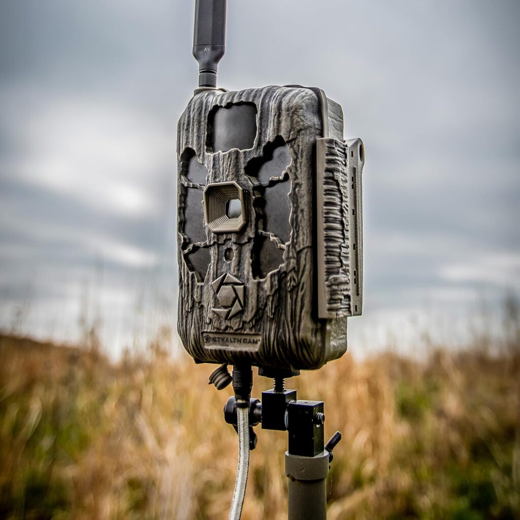Find the Perfect Trail Camera with Cellular Connectivity