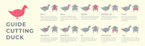 The Anatomy of a Duck: From Field to Table - iSportsman USA ...
