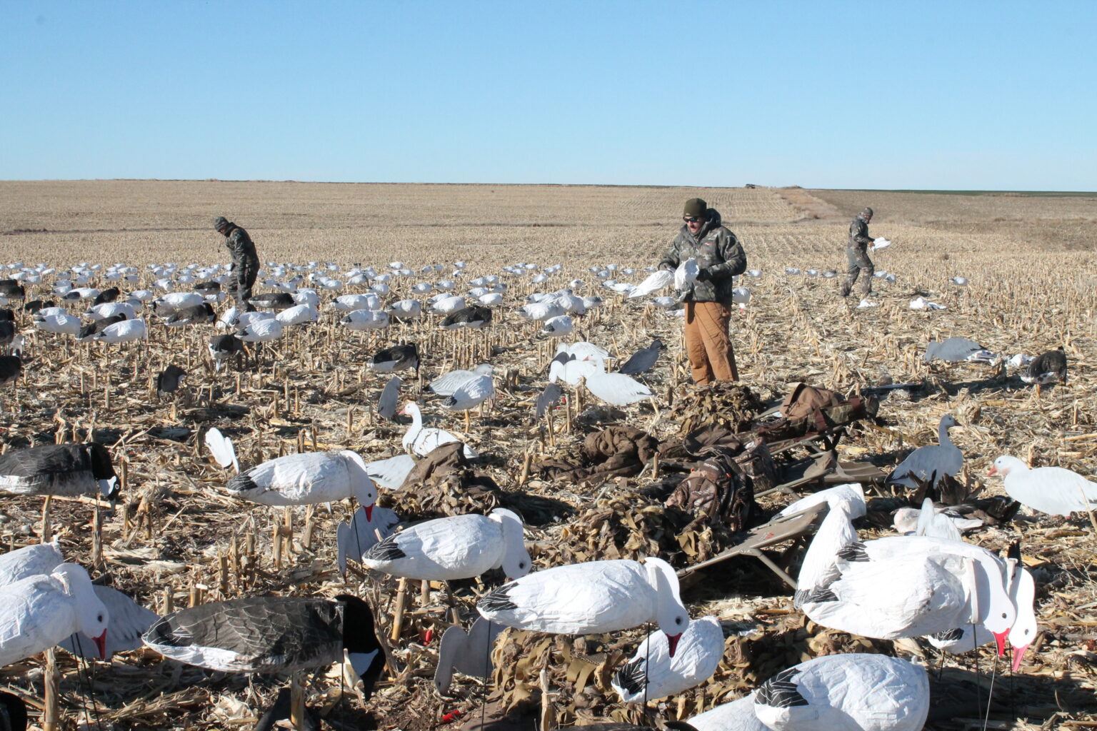 Bring Plenty of Shells: 5 Snow Goose Hunting Hot Spots