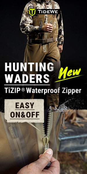 Wisconsin Bear Hunting Licenses to Increase in 2025