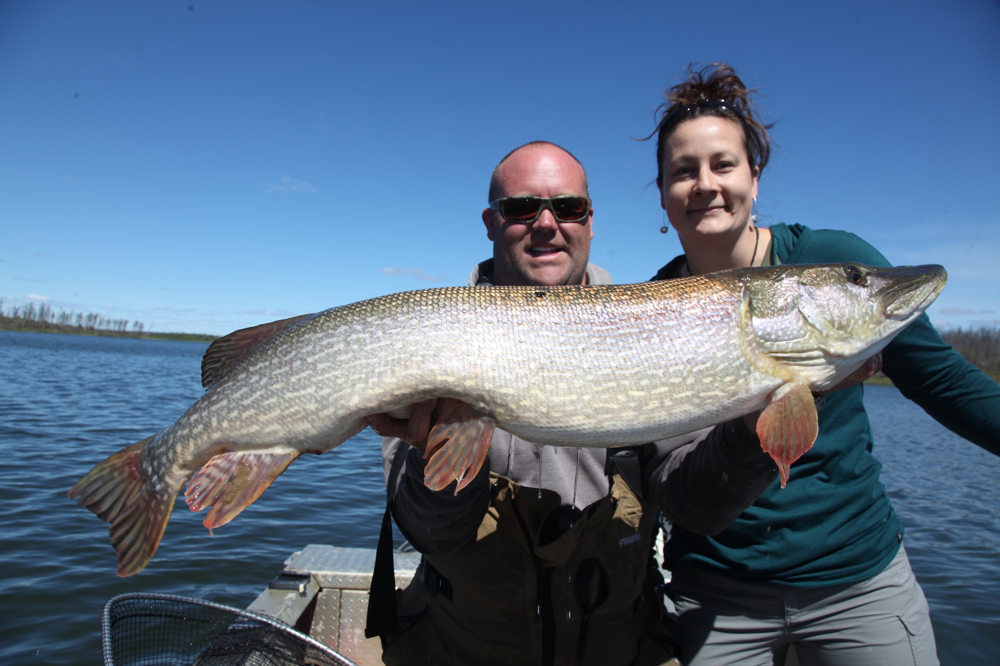 Monster Pike on the Fly at Cree River Lodge - iSportsman USA ...