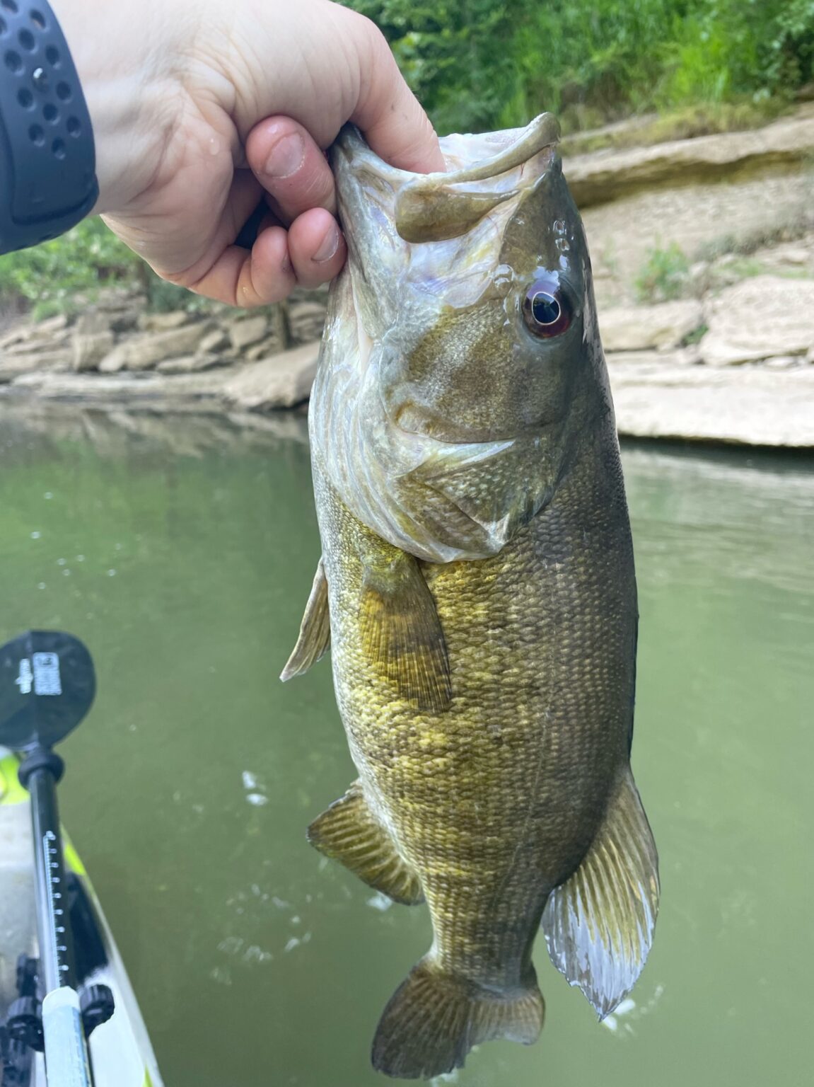 Advantages of Kayak Fishing - iSportsman USA | iSportsman USA